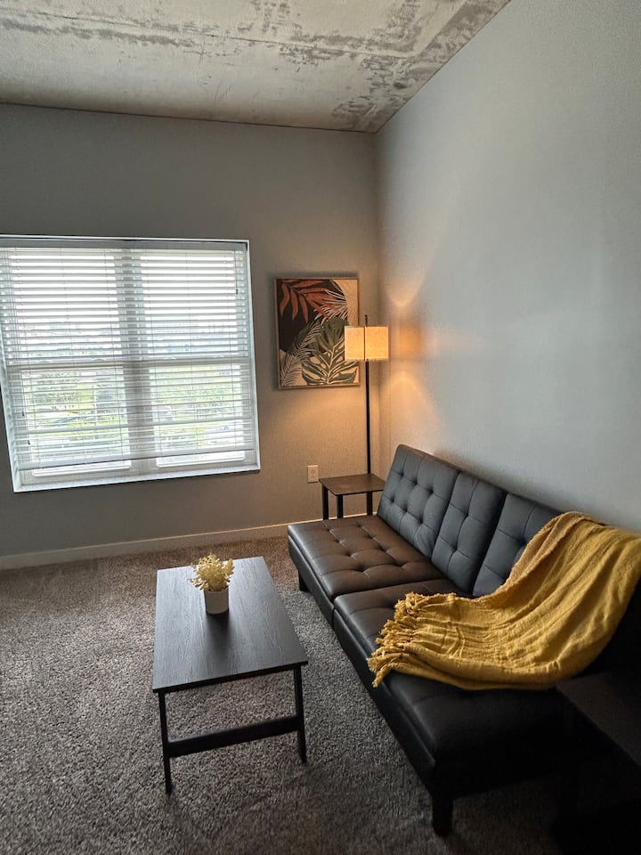 Chic City Apt W/ Parking &Canal View Roofdeck - Indiana (State)