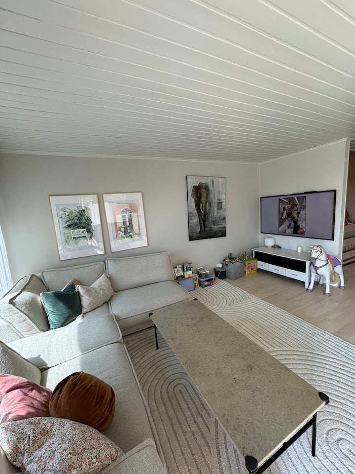 Luxury Family Home With Sunny Terrace - Oslo