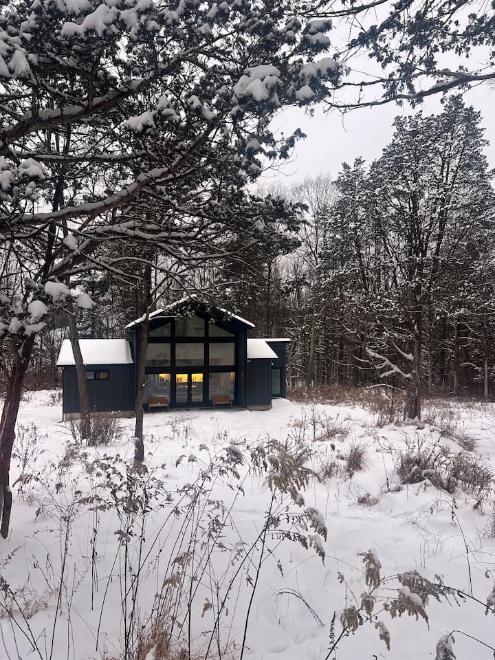 A Modern Catskills Cabin Retreat - 克洪克森