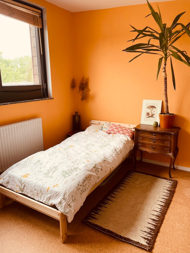 Cozy & Quiet Room In The South Of Münster - Münster