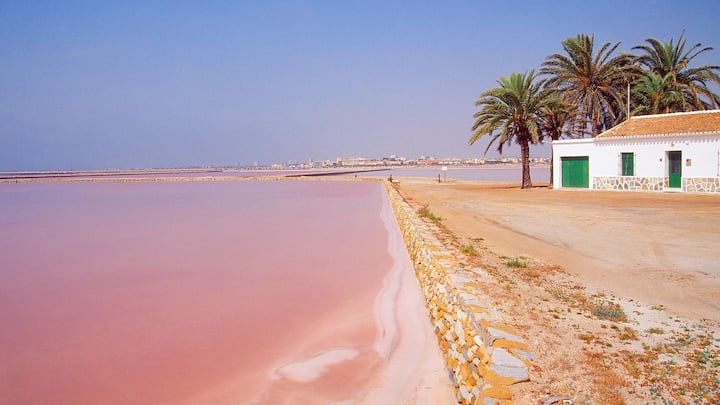 Bajo En Lo Pagan - San Pedro del Pinatar