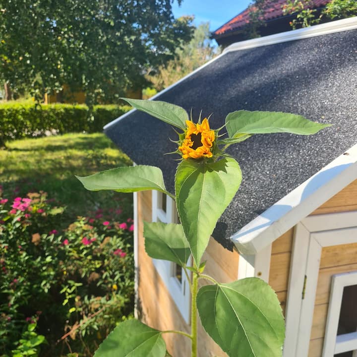 Härligt Hem Mitt I Sommaridyll - Stockholm