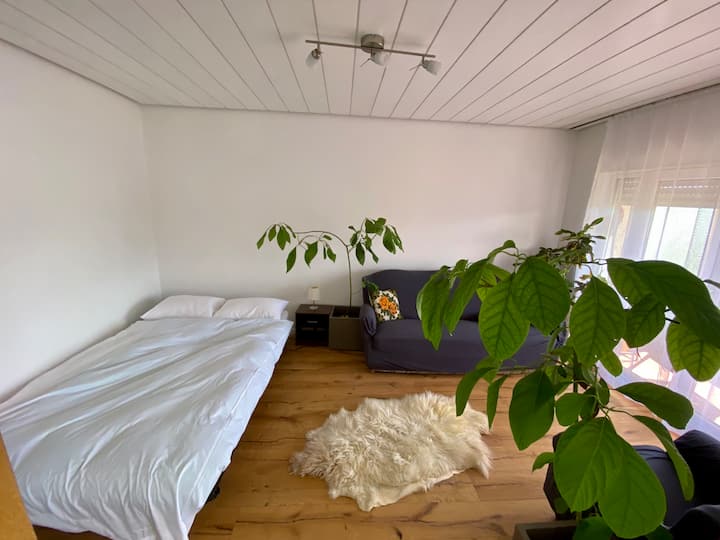 1 Room In Stuttgart North/west - Stuttgart