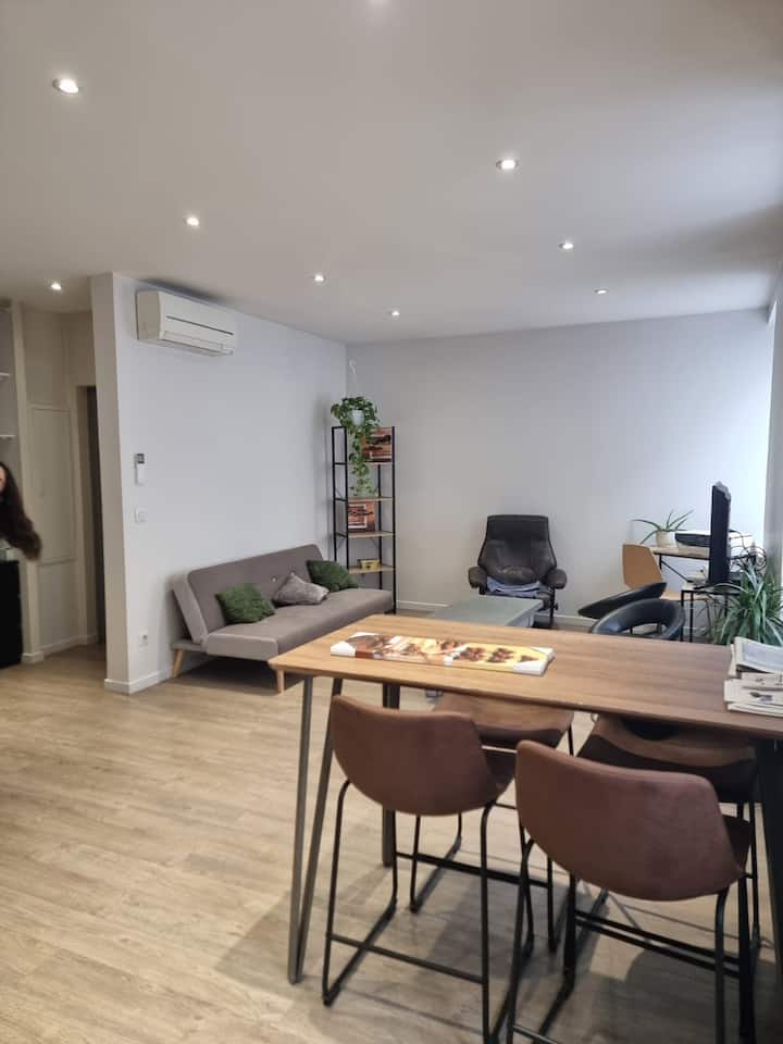 Joli Appartement Proche Gare Et Centre - Ibis Budget Bourgoin Jallieu Centre