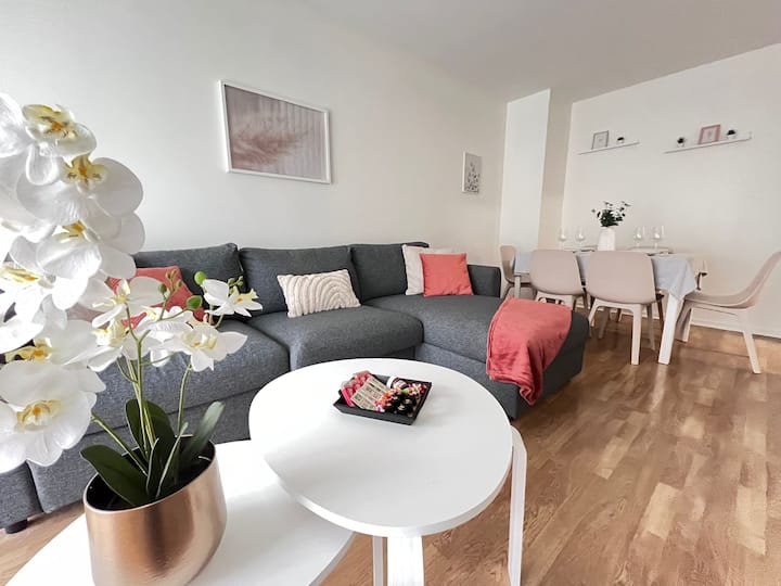 Famille/pro,2ch+parking.rer 10min.stade De France - Seine-Saint-Denis