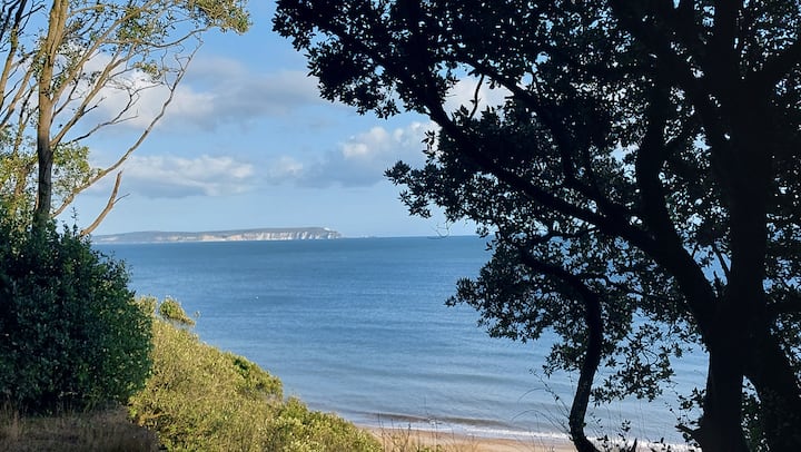 Beach Dreamer - Mudeford