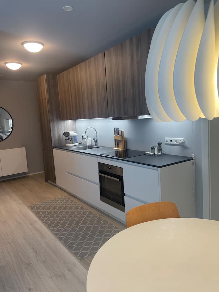 Apartment Dt Kóp - 雷克雅維克