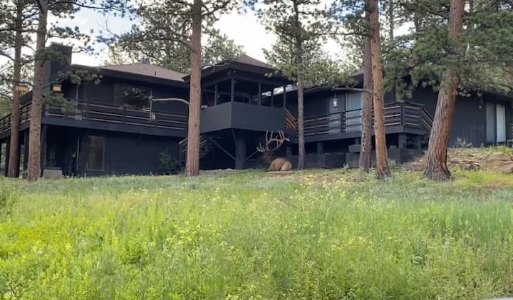 Spacious Zen Nature Town Retreat - Estes Park, CO