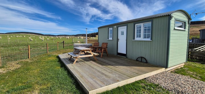 North Muasdale Farm, Ewe View - Carradale
