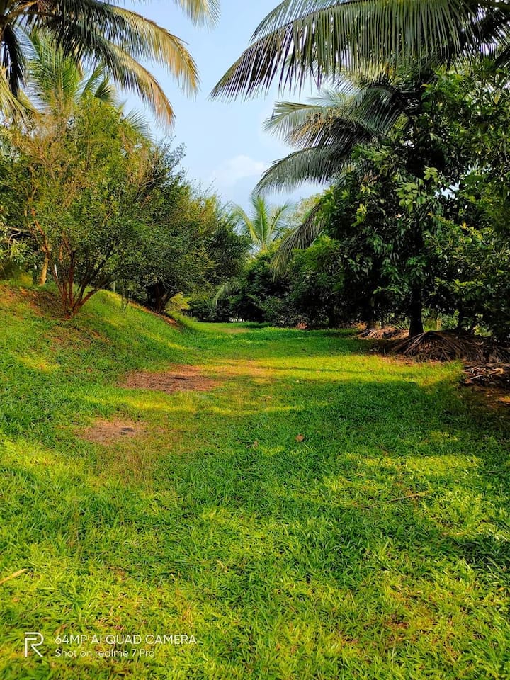 H2o Heritage
Reservoir View - Thodupuzha