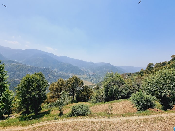 Beautiful Homestay - 達爾霍烏西耶