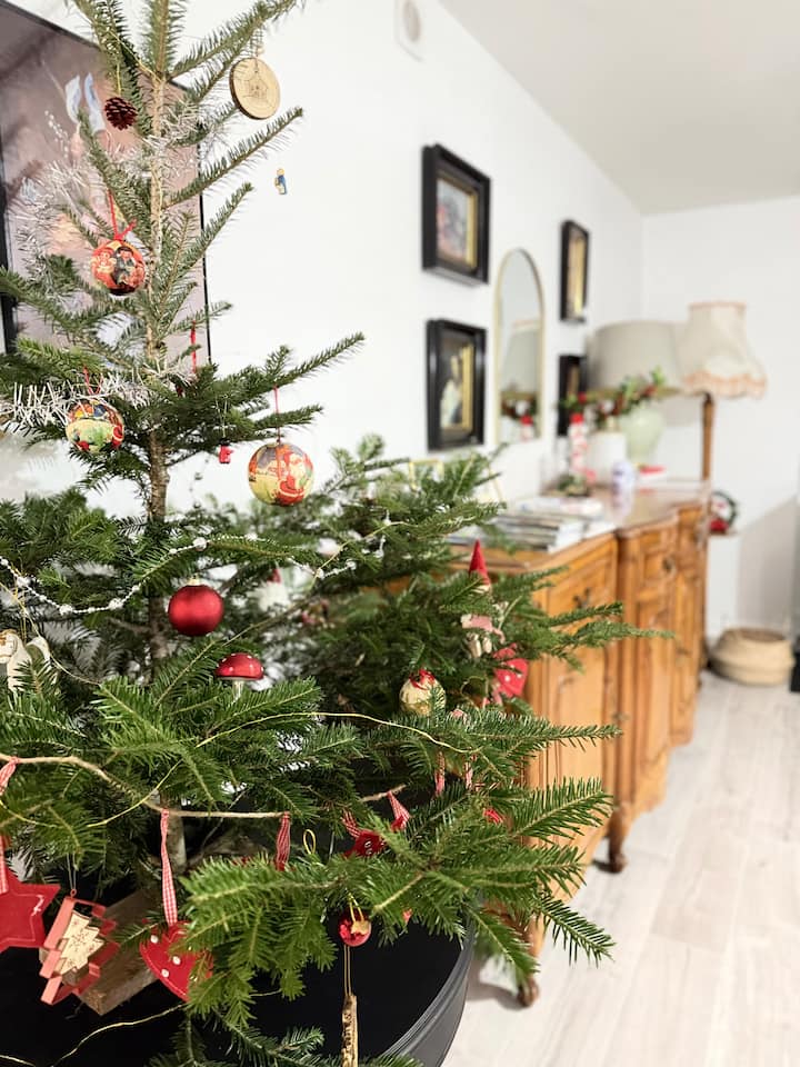 La Maison De Pépé Hus - Bort-les-Orgues