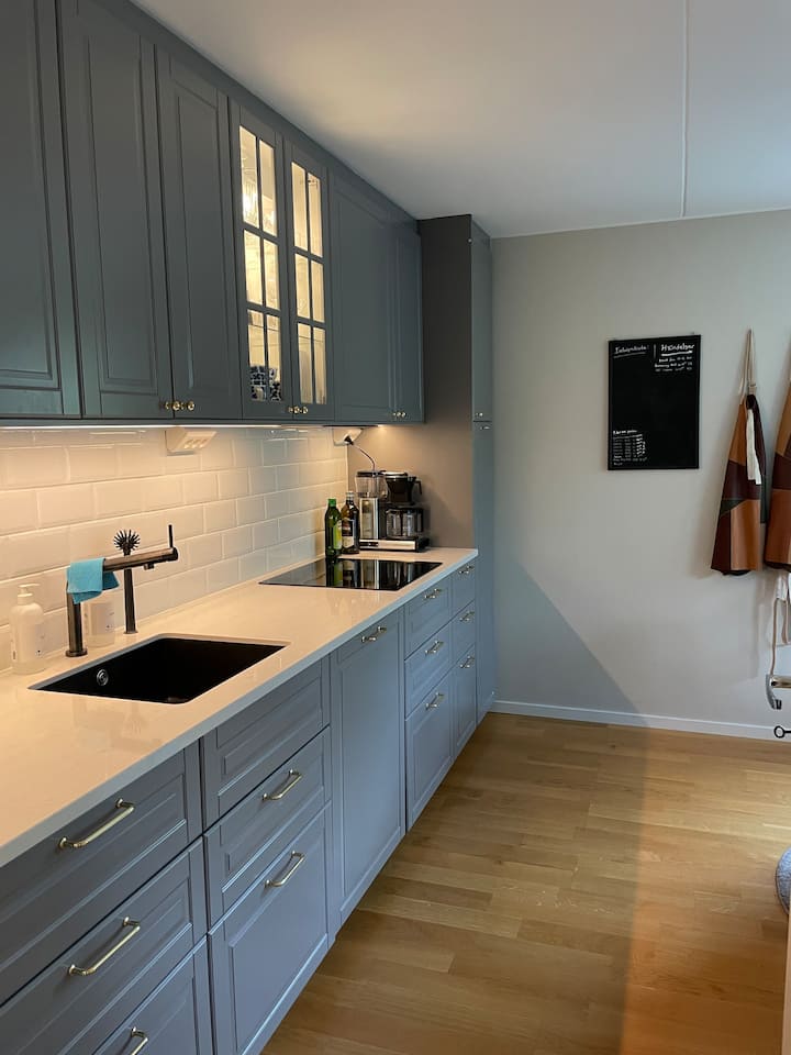 Egen Lägenhet Nära Friends Arena - Solna