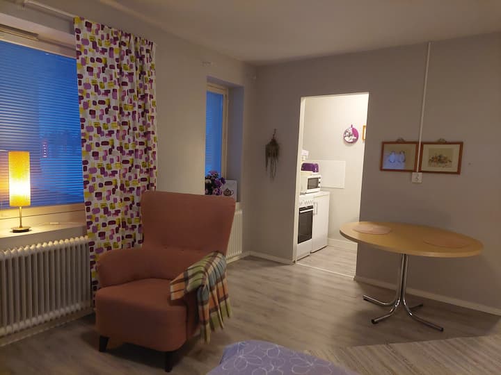 Keskustan Yksiö + Liinavaatteet Ja Pyyhkeet - Lieksa