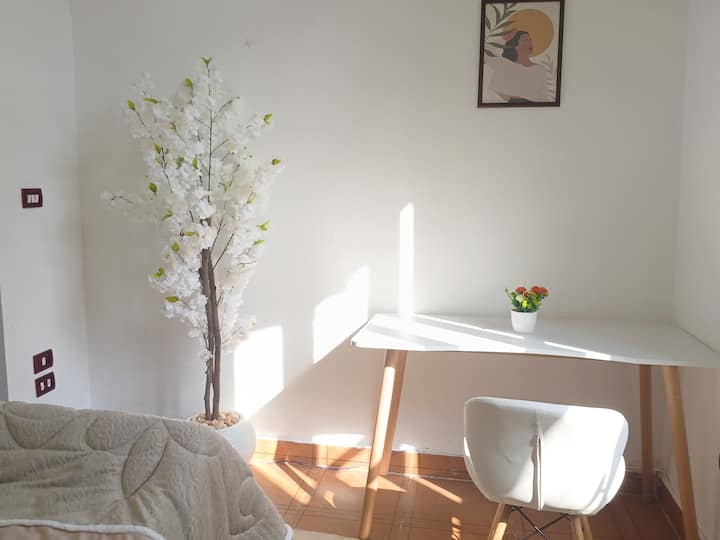 Downtown Alive Balcony Room- French Institute2 - Le Caire