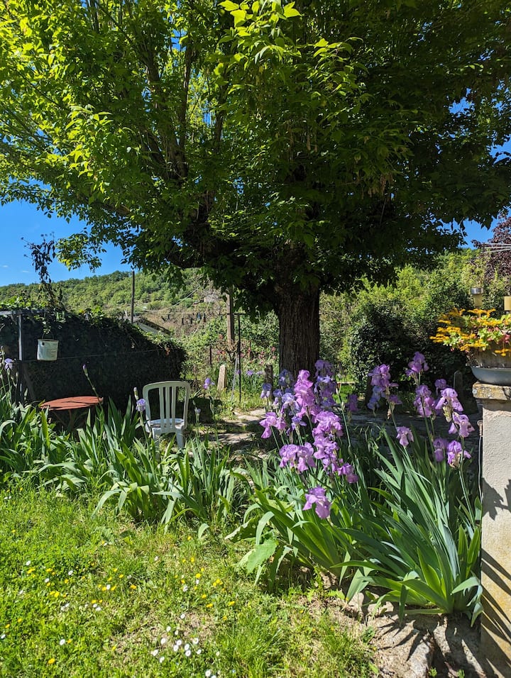 Appartement Le Tilleul - Forcalquier