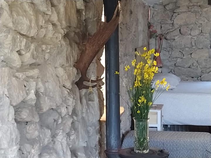 El Refugi Del Mont
En Plena Natura - Besalú