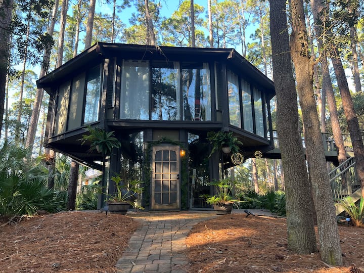 Coco's Island Treehouse - Hilton Head Island, SC