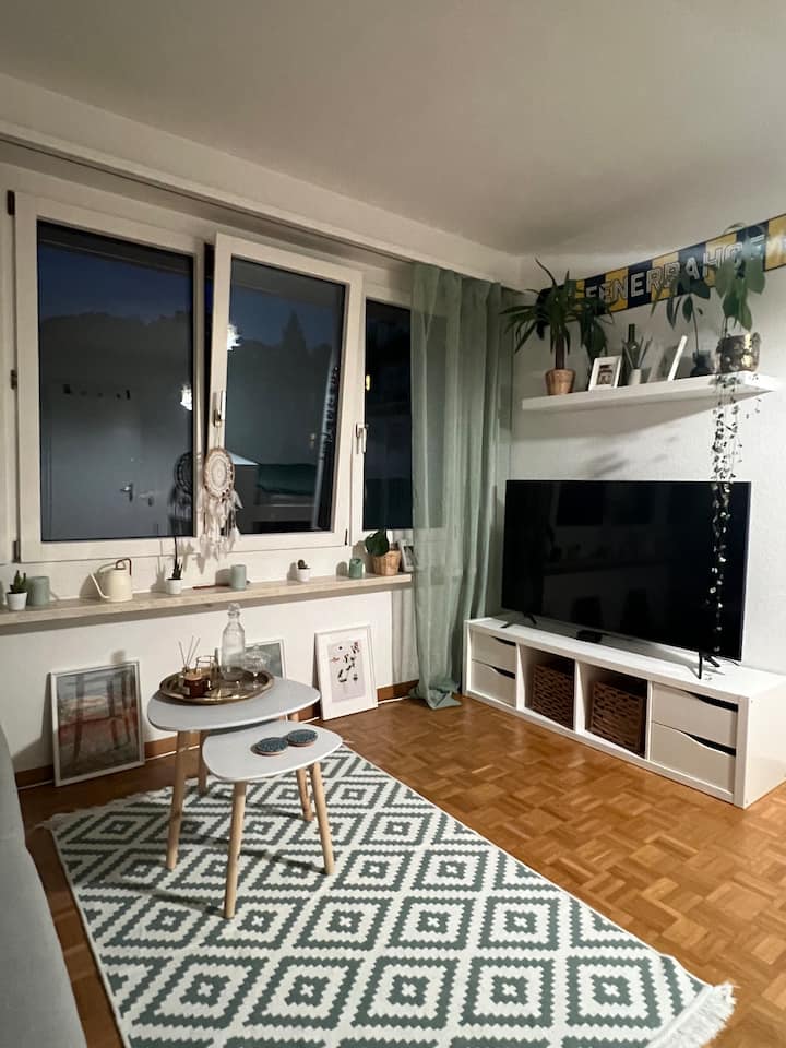 Urban Appartment In City Center - زيورخ