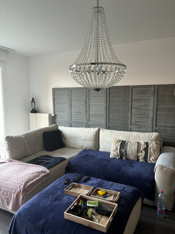 Charmant Et Cosy Appartement - Strasbourg