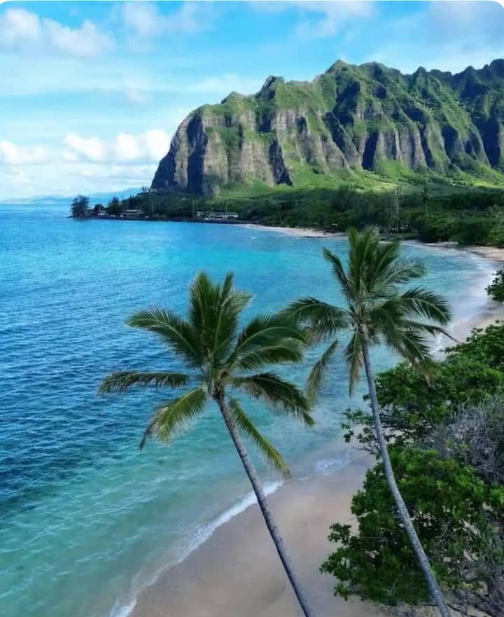 Hawaii Waikiki-beautiful View Free Parking 15fl - Kailua, HI