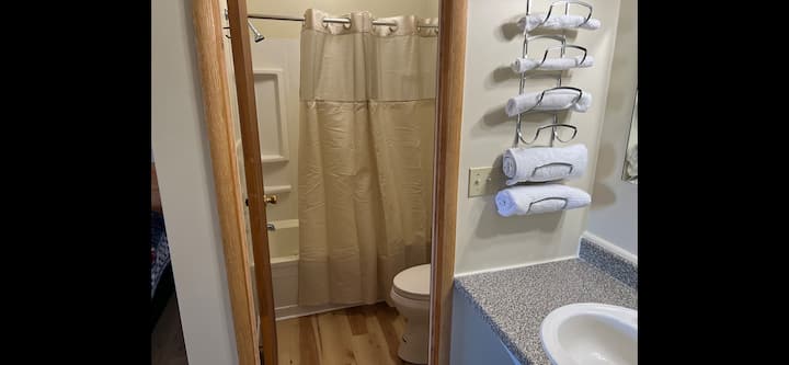 Room #2, Single Queen Bed - Michigan