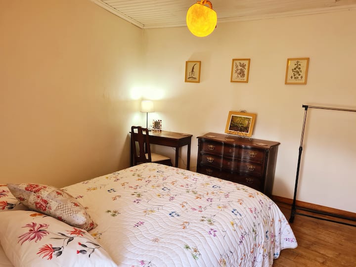 Rosa Mini Apartment - Miranda do Corvo