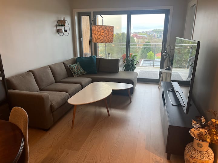 Moderne Leilighet Med Flott Utsikt! - Trondheim