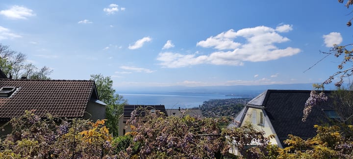 Séjour Atypique Avec Vue Sur Le Lac Et Piscine - Lausanne