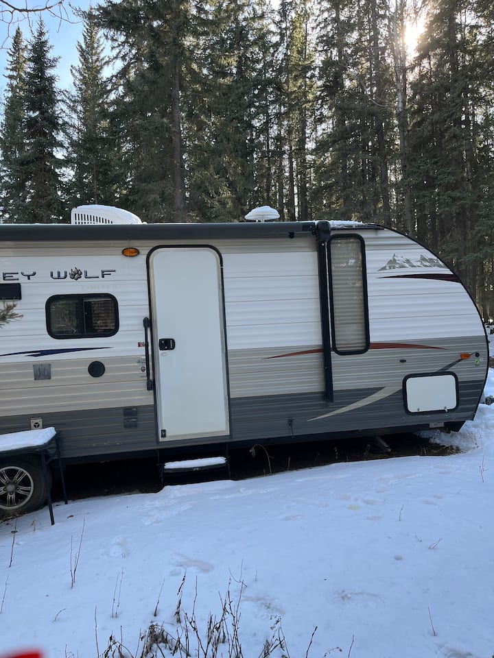 The Wolf
Open - Banff-Nationalpark