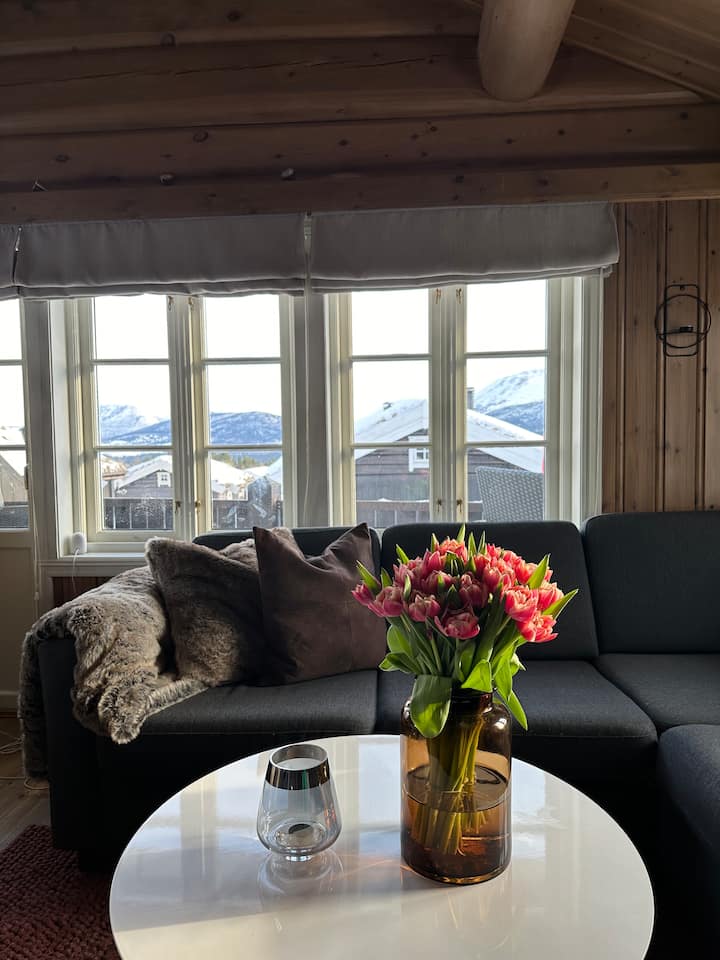 Fin Hytte Med Flott Beliggenhet - Noorwegen