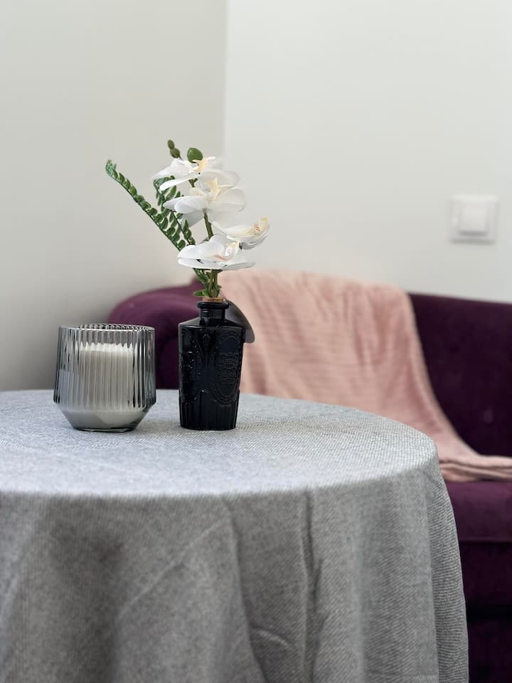 Charmant Petit 2 Pièces Cosy - Mérignac