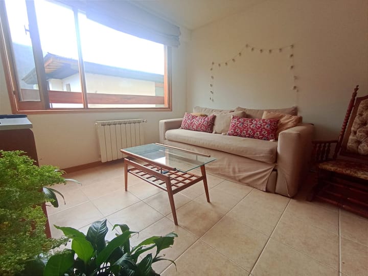 Cozy Central Apt In Sma - San Martín de Los Andes