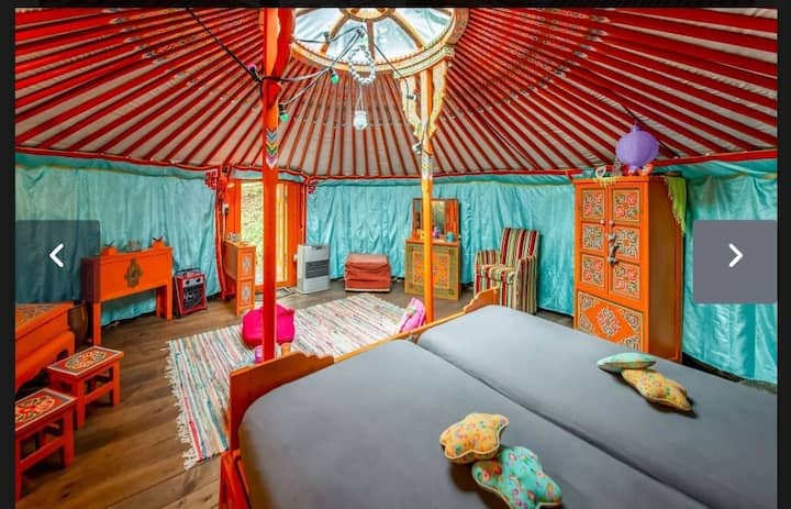 Magnifique Yourte Mongole - Gouvy