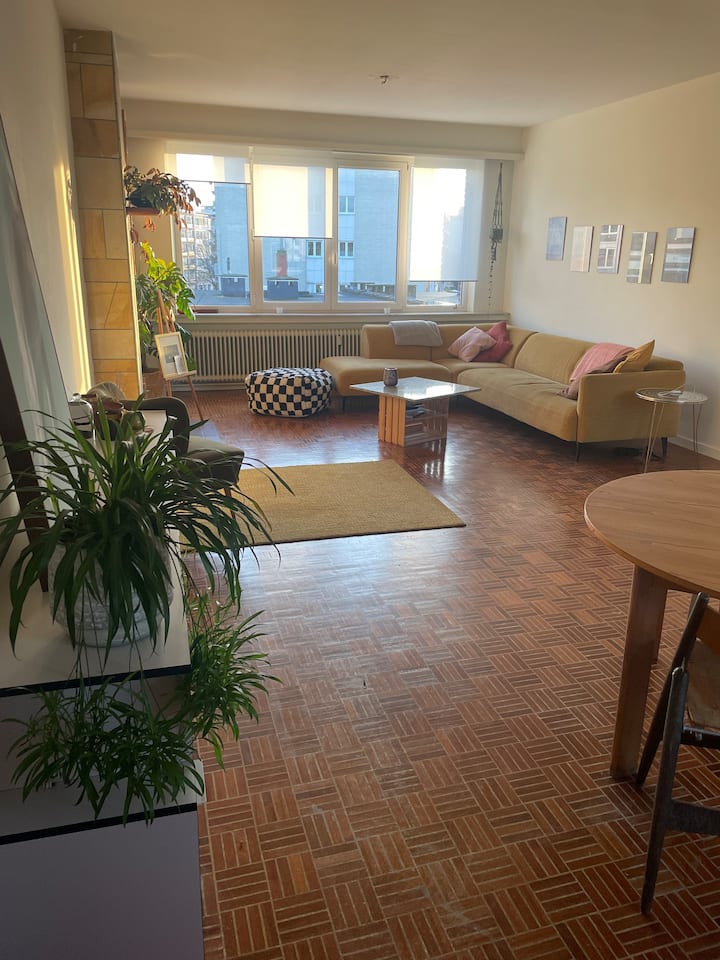Mooi En Lichtrijk Appartement - Antwerp