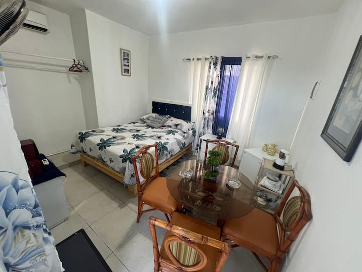 Aparta Estudio - La Romana