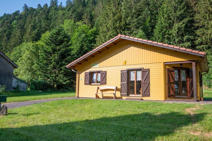 Chalet Le Jauniré à Plainfaing Location Pour 6 Pe - Frankreich