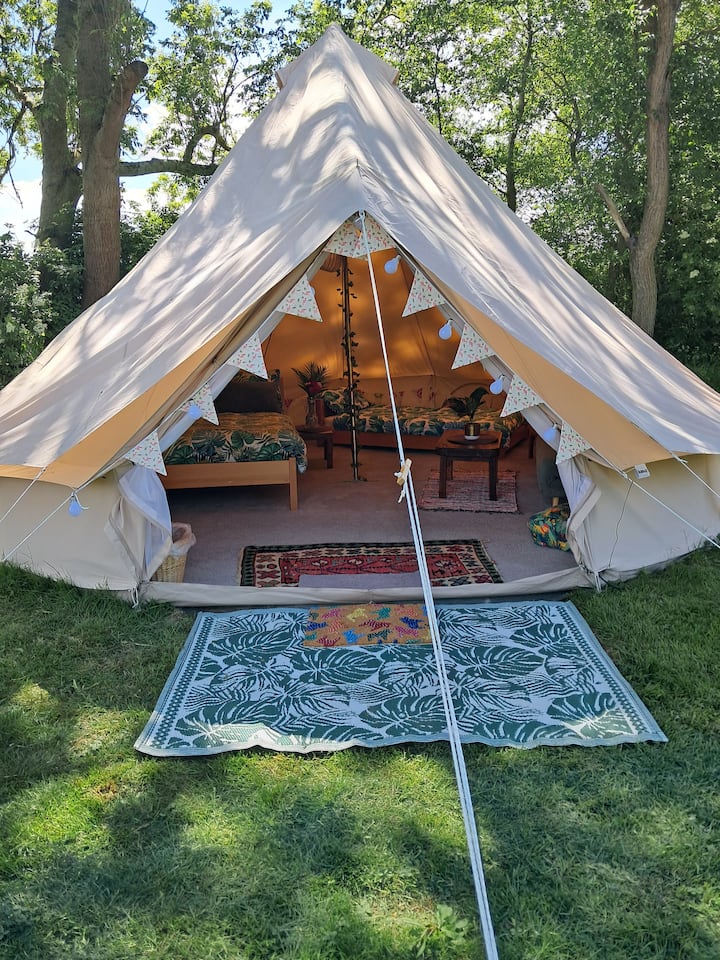 Saturn Bell Tent - Essex