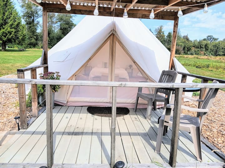 Happy Frog Yurt - Sedro-Woolley, WA