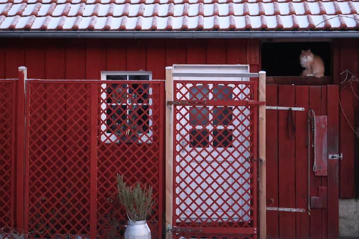 Kleine Ferienwohnung Im Schwedenhäuschen - Saxe