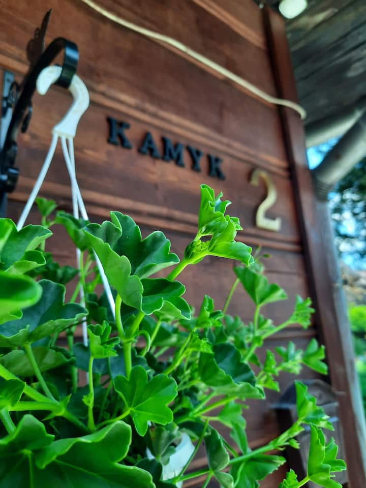 Apartament Kamyk Zakopane, Centrum - Zakopane