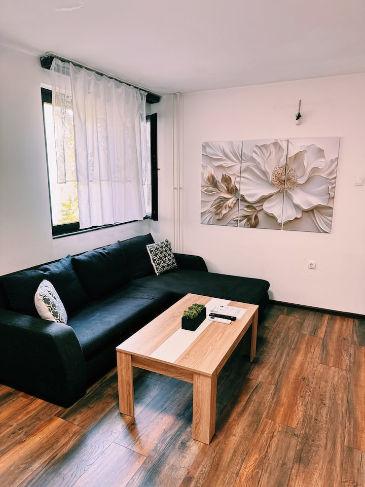 The Boulevard Buzz - Zrenjanin