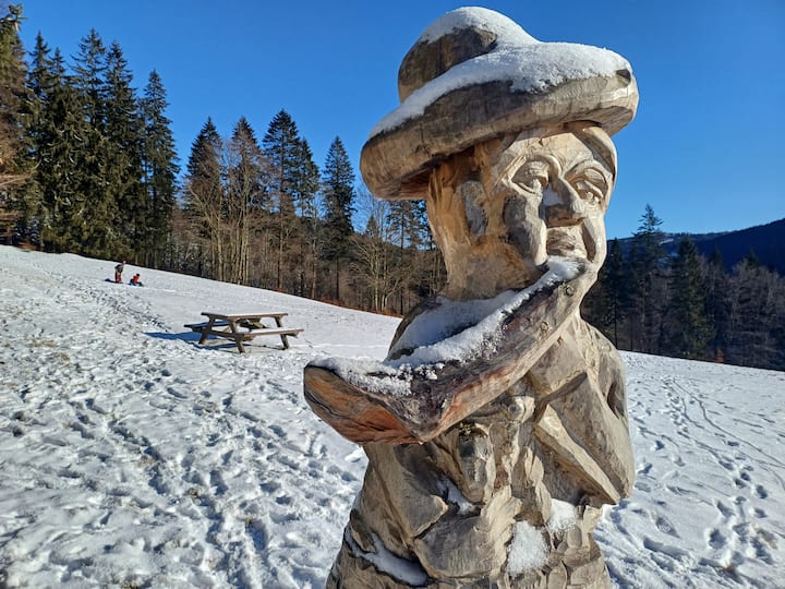 Fewo Oberhof - Oberhof