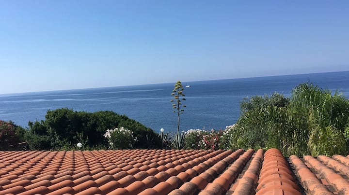 Il Pettirosso, Casa E Giardino A Mare, Acciaroli - San Mauro Cilento