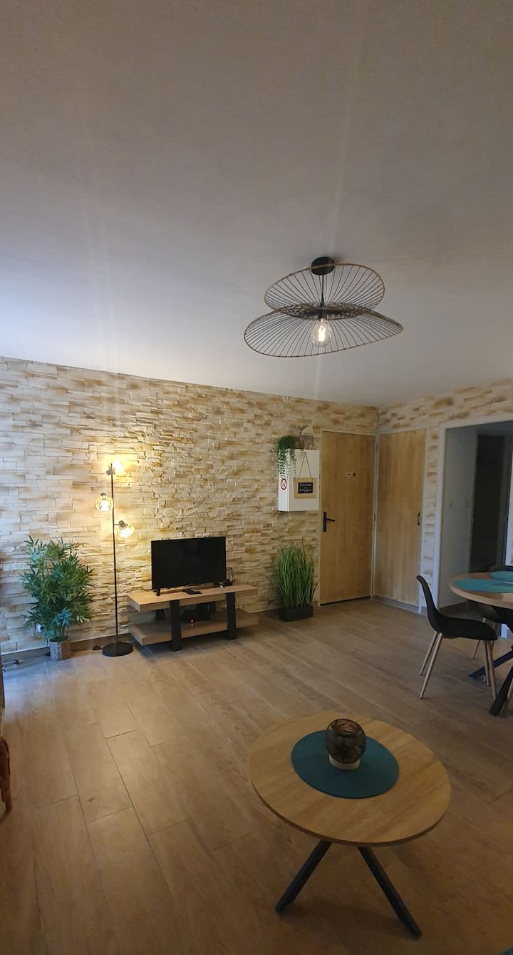 Appartement Cosy Avec Terrasse - Plage de Saintes-Maries-de-la-Mer