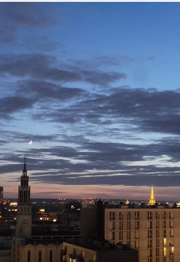 Appartement 2 Pièces Paris 20 Vue Sur Tour Eiffel - ibis Styles Paris Nation Cours de Vincennes