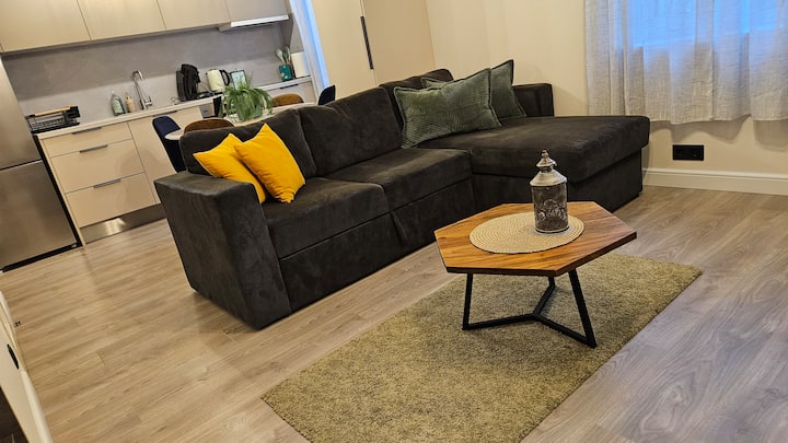 Cēsu13 Apartment - Riga