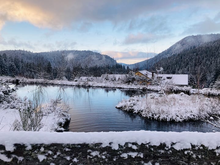 Le Perchoir-le Grand Valtin-gite 4 Personnes - Lac de Longemer