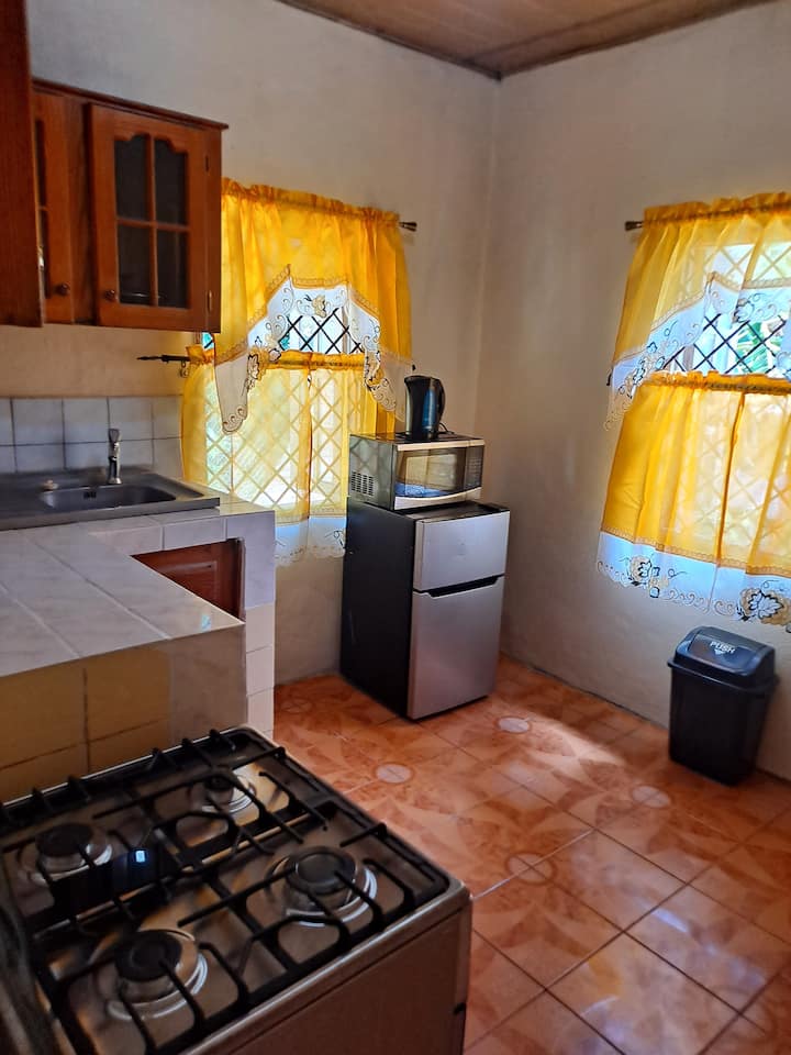 Noel Beach View Villa - Port Antonio