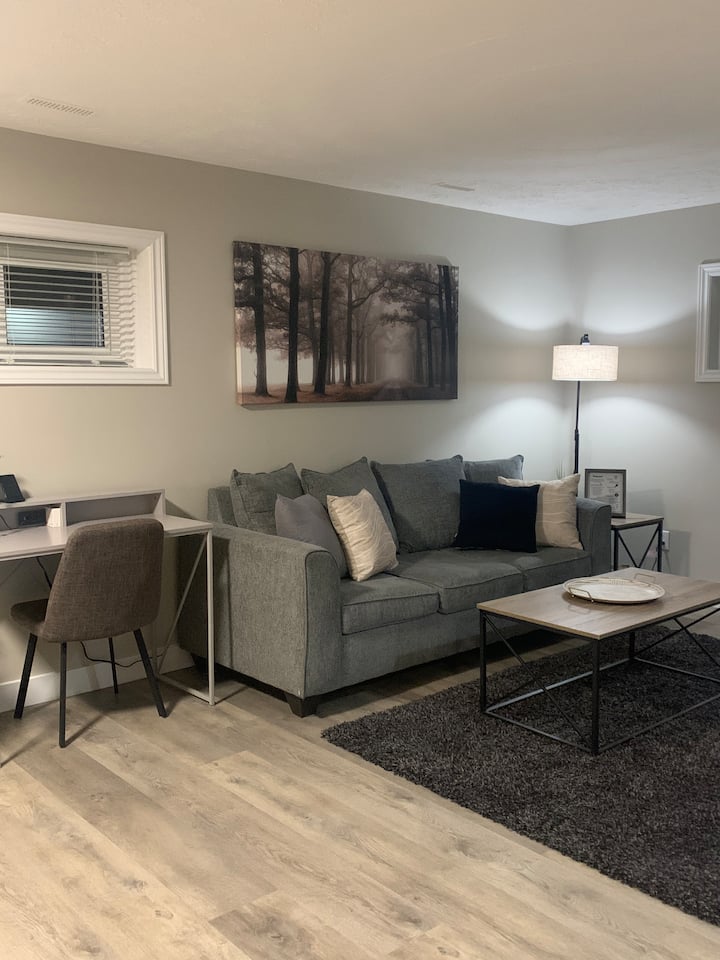 Modern Large & Bright,  1 Bd Apt, No Cleaning Fee! - Greater Sudbury